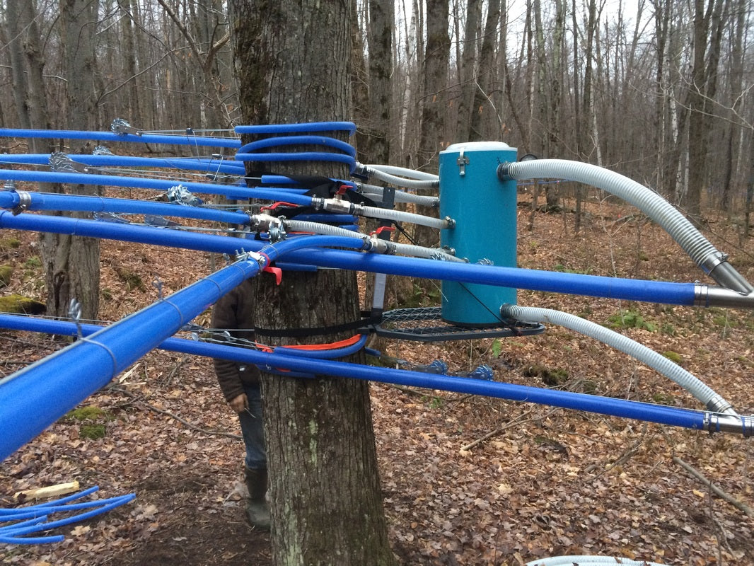 About Us – Amber Ridge Maple